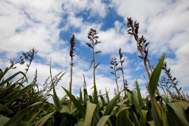 CRAiLAR expands investor relations