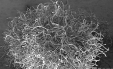 Teijin develops new Solotex RC fibre for knitted fabrics