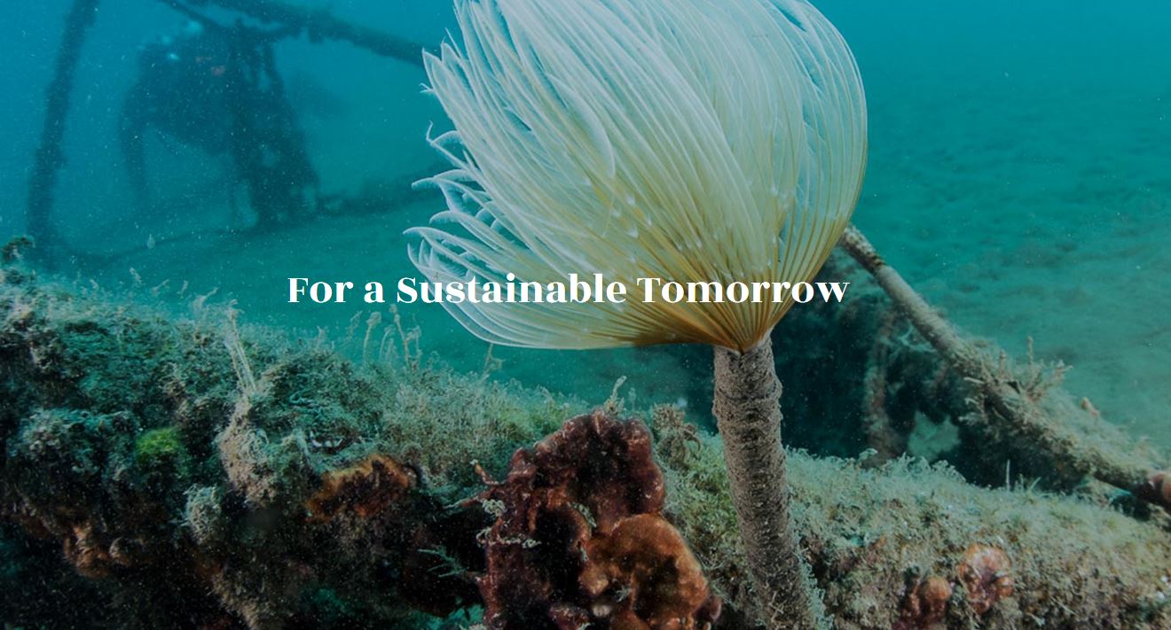 Healthy Seas Web Lab: Eco-innovation & sustainability in fashion